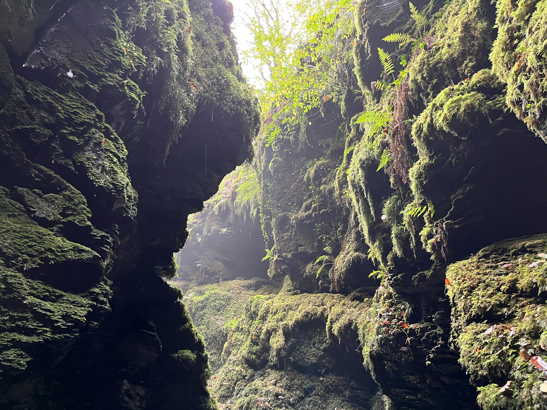 Lydford Gorge | Yeatheridge Farm